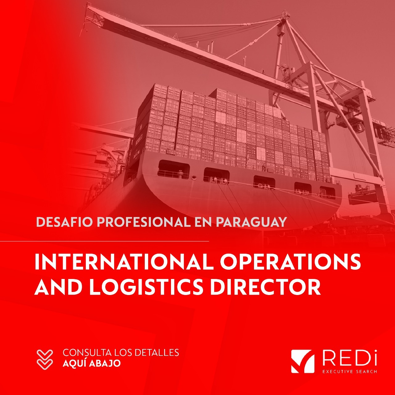 ¡Oportunidades de Empleo en REDi!